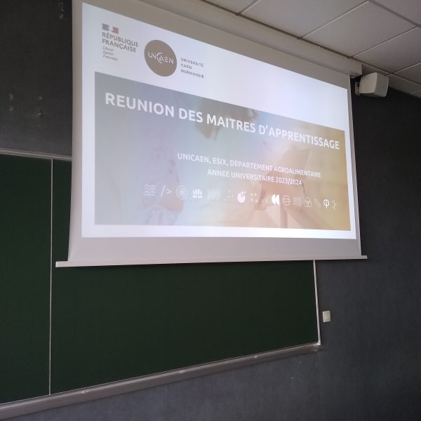 Formation · ESIX Normandie - École supérieure d'ingénieurs - Université ...